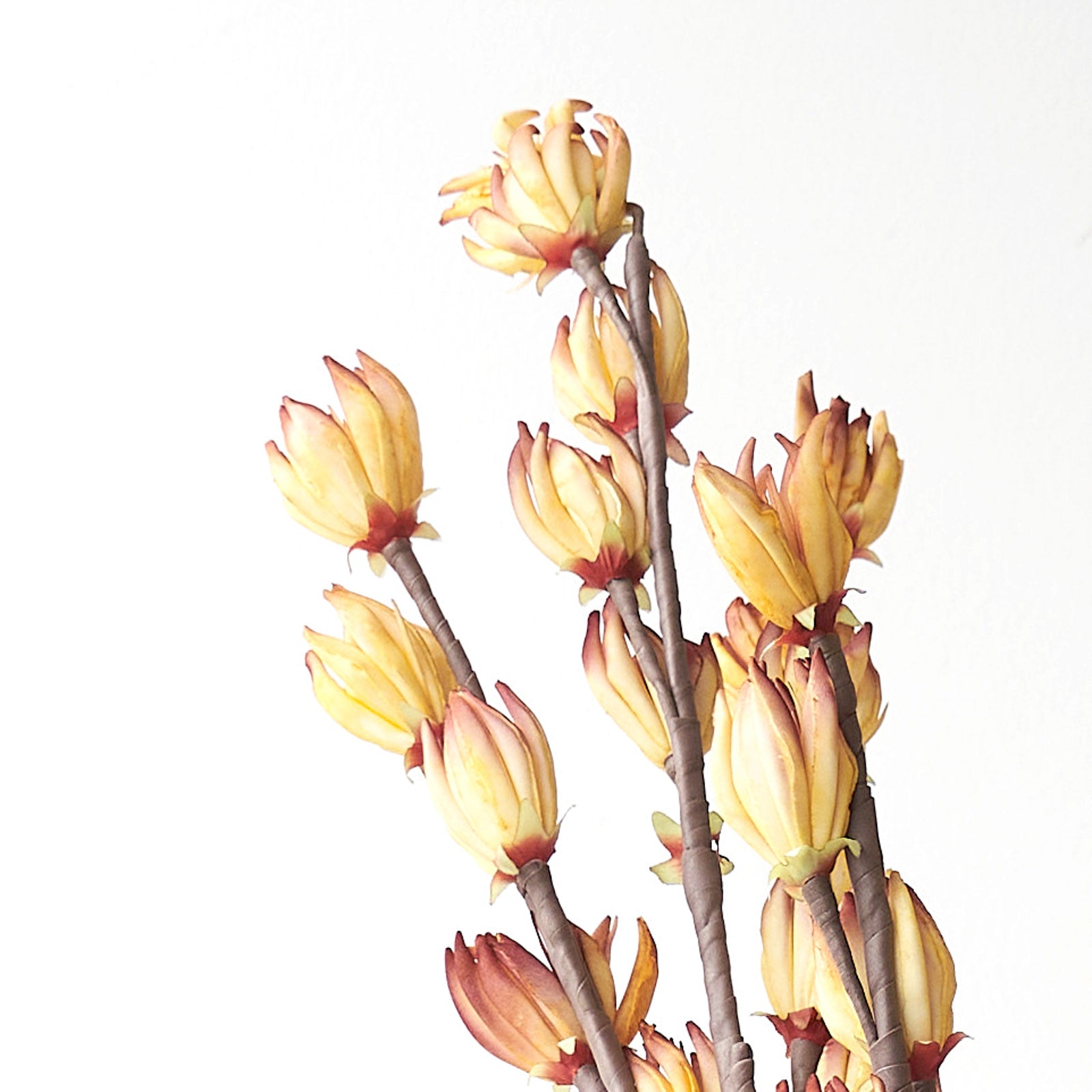 Heli Flower | Tangerine – Originals Furniture